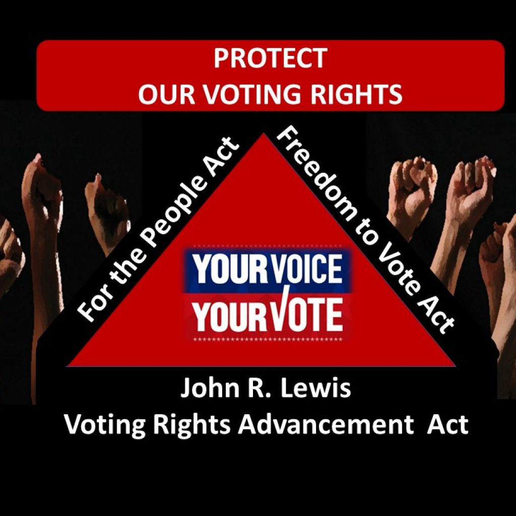 Voting Rights Letter Writing Campaign – NDSA