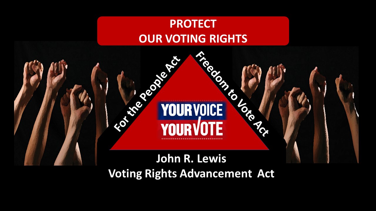 Voting Rights Letter Writing Campaign – NDSA